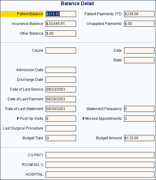 Patient Entry - Balance Detail Window